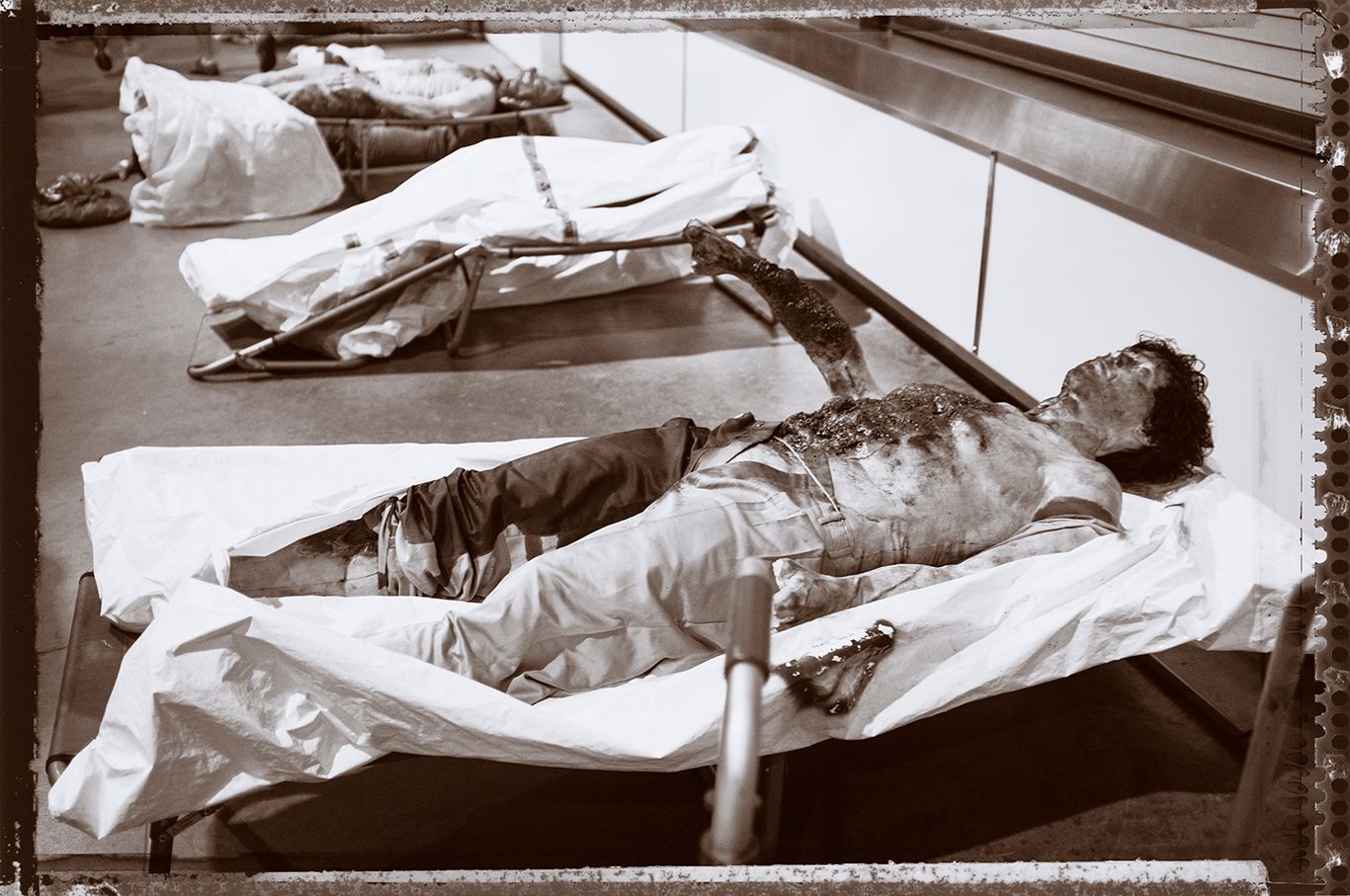 Walking Dead Escape: How I Survived the Zombie Apocalypse