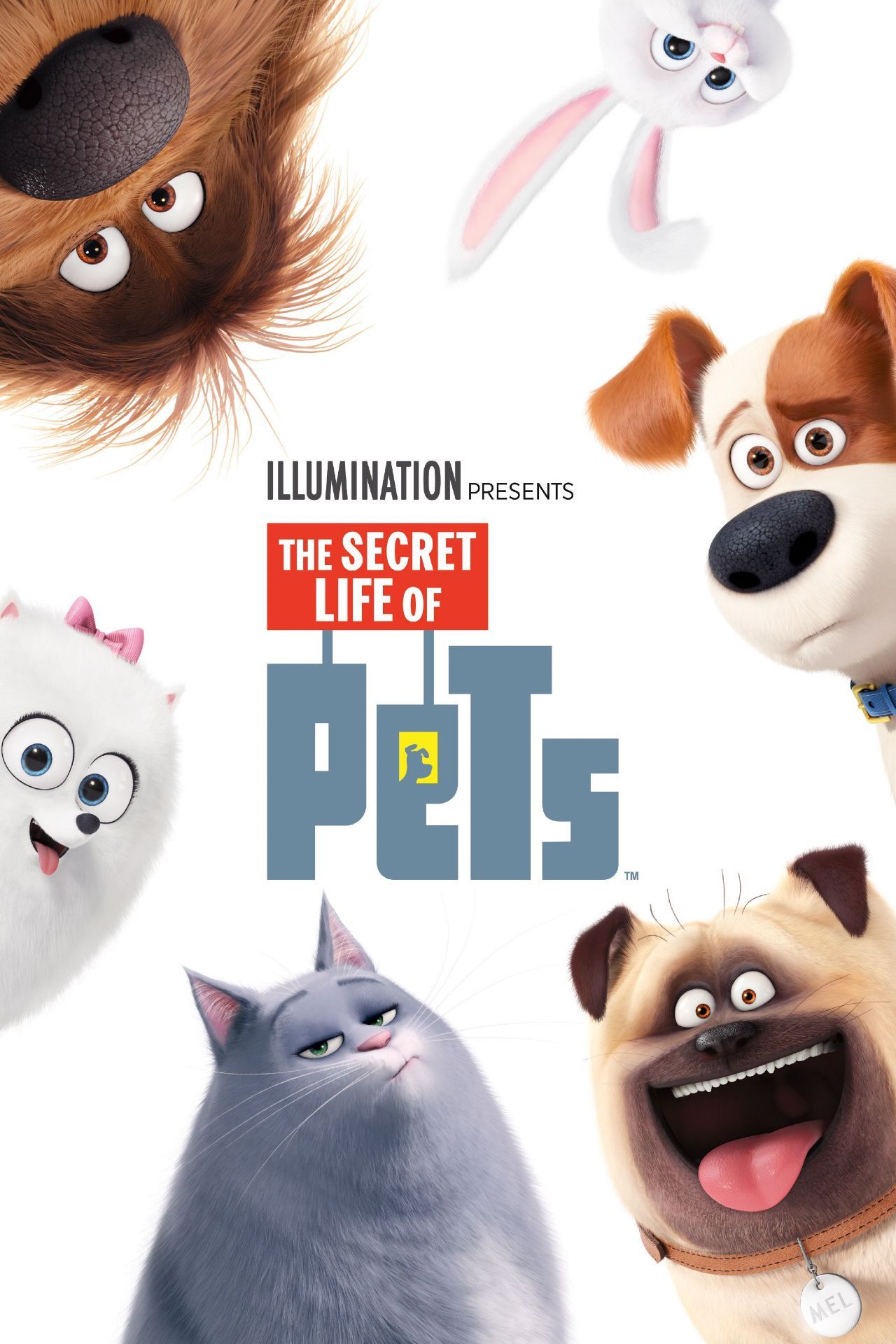 The Secret Life of Pets | MovieWeb