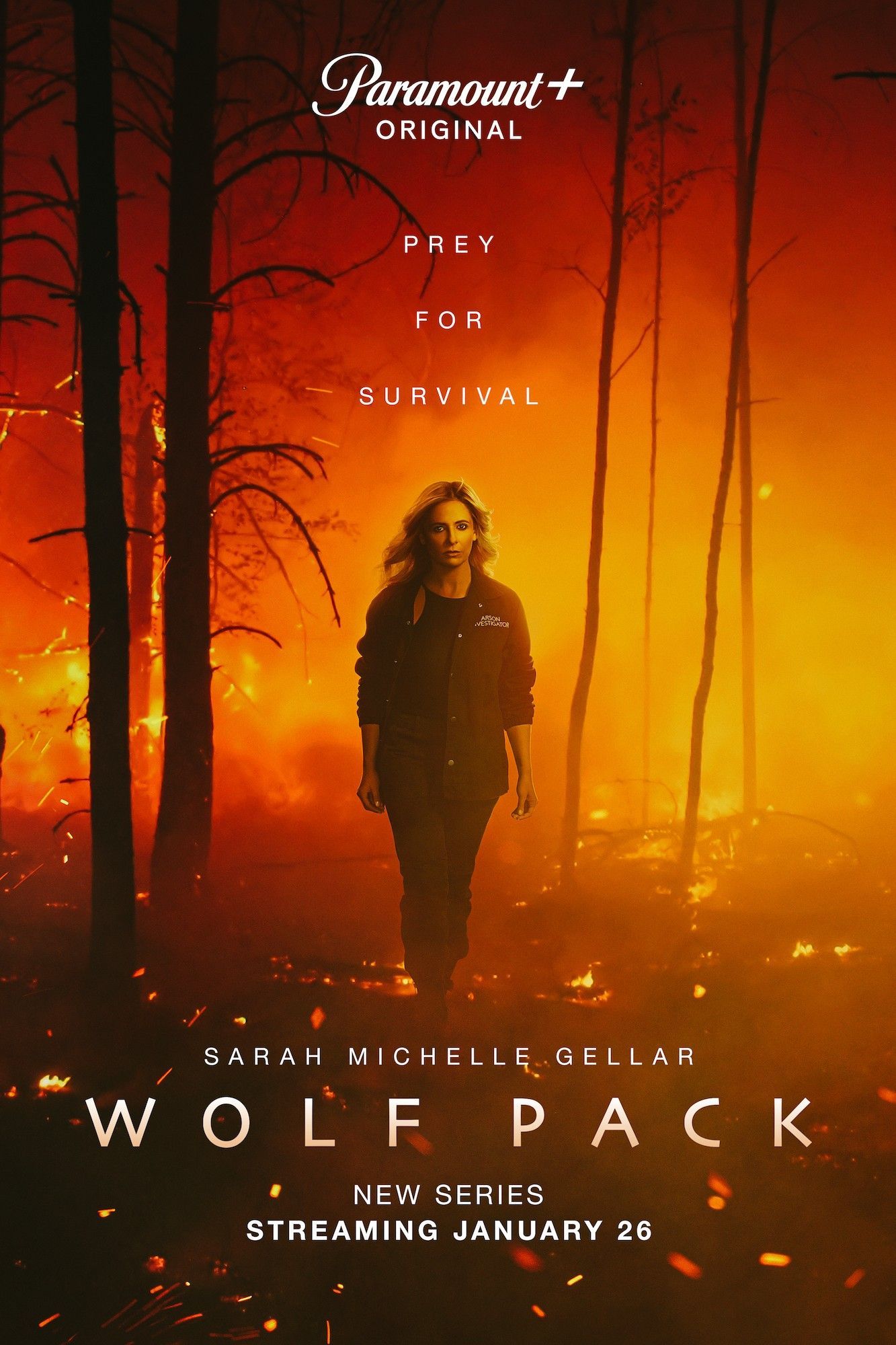 Wolf Pack | MovieWeb