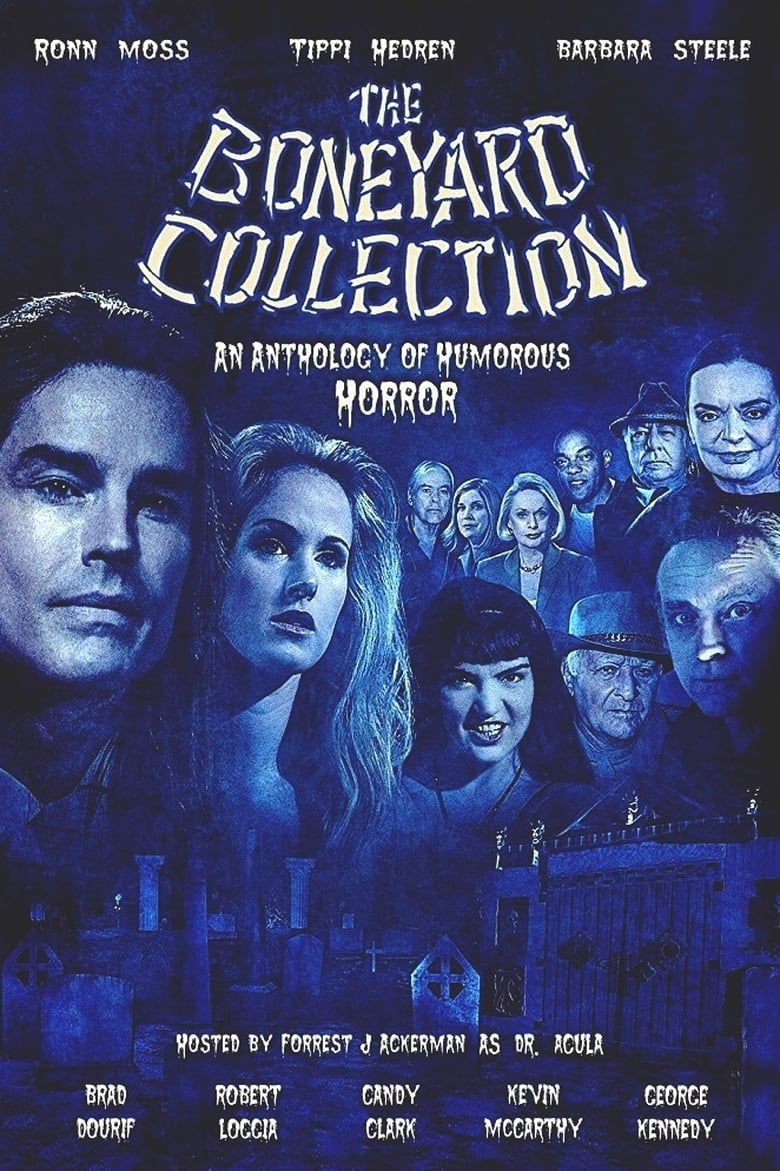 2008 Movies | MovieWeb