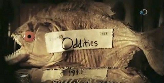 Oddities (2010) | MovieWeb
